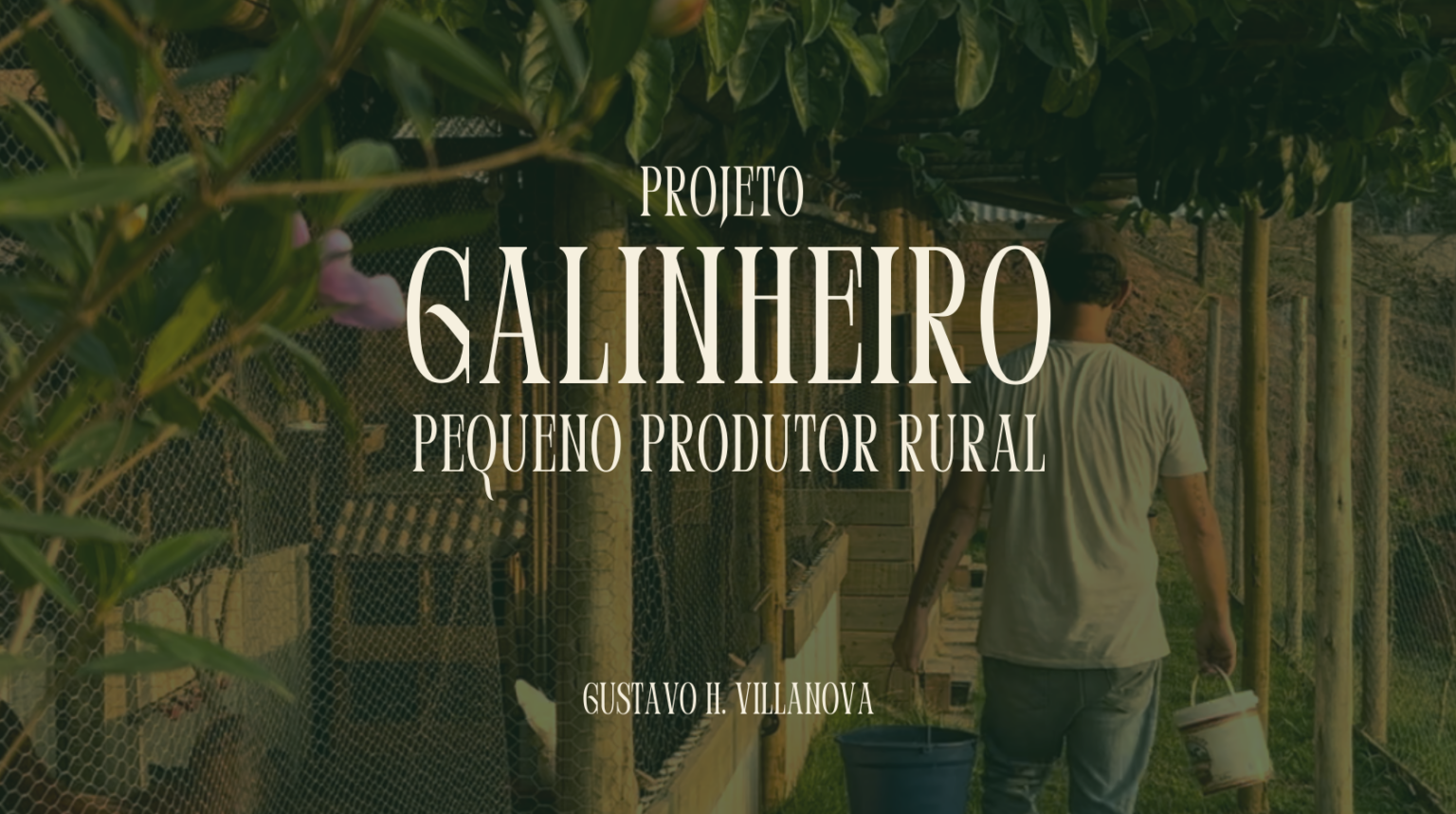 Projeto Galinheiro – Pequeno Produtor Rural – Pequeno Produtor Rural